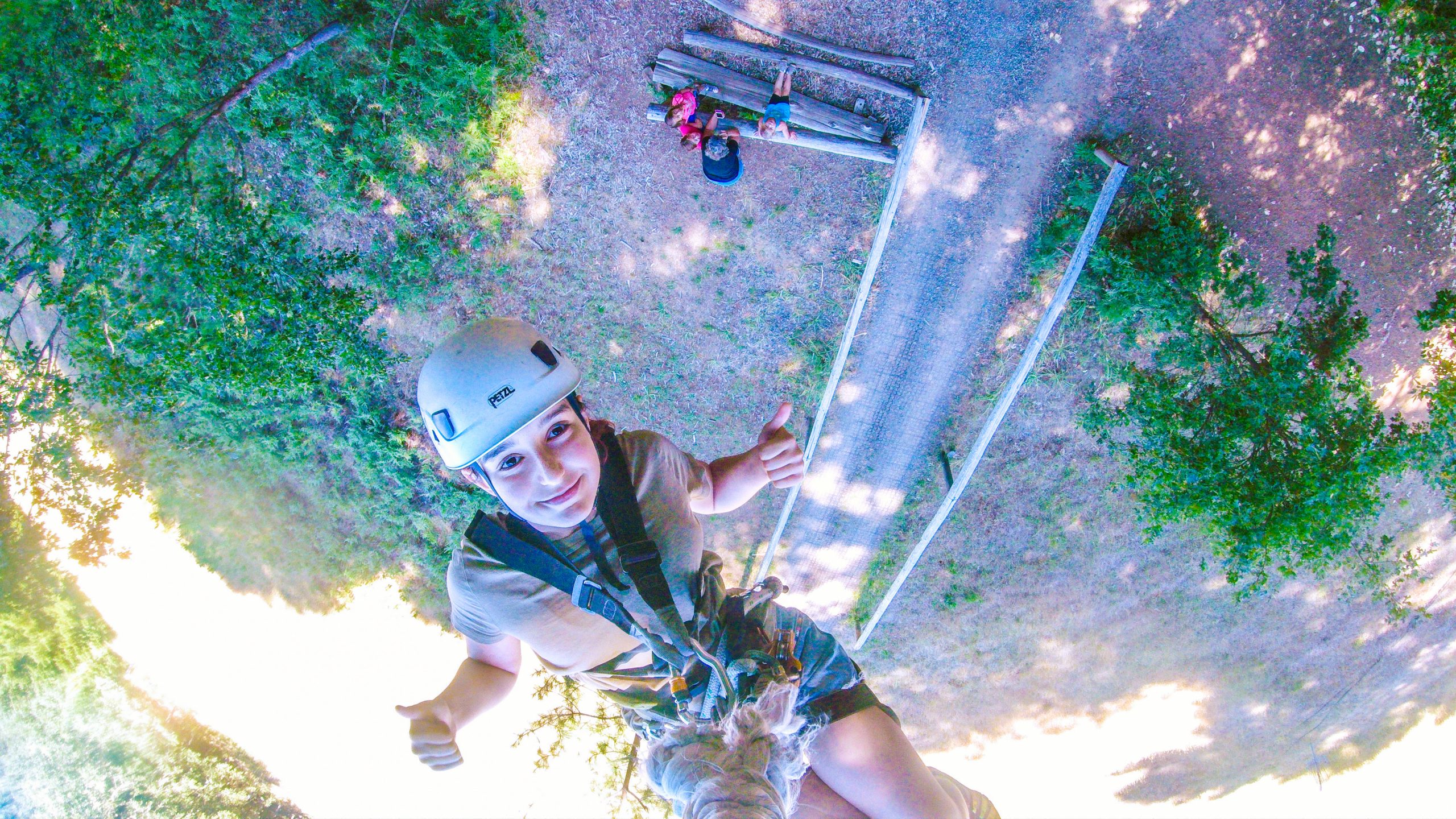 TreeHouse Ziplines Out N About Treesort